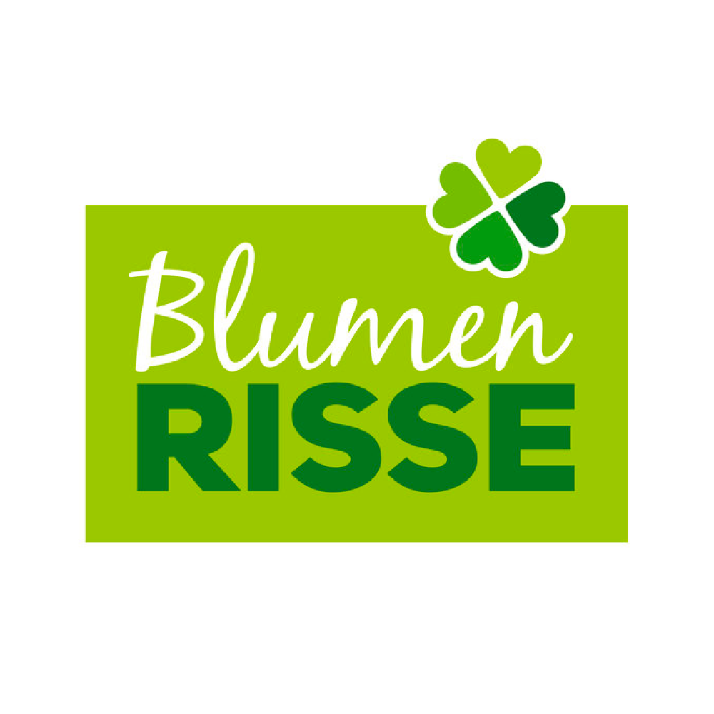 Blumen Risse - Aktueller Prospekt 02.06.2026 - Prospekte, Aktionen ...